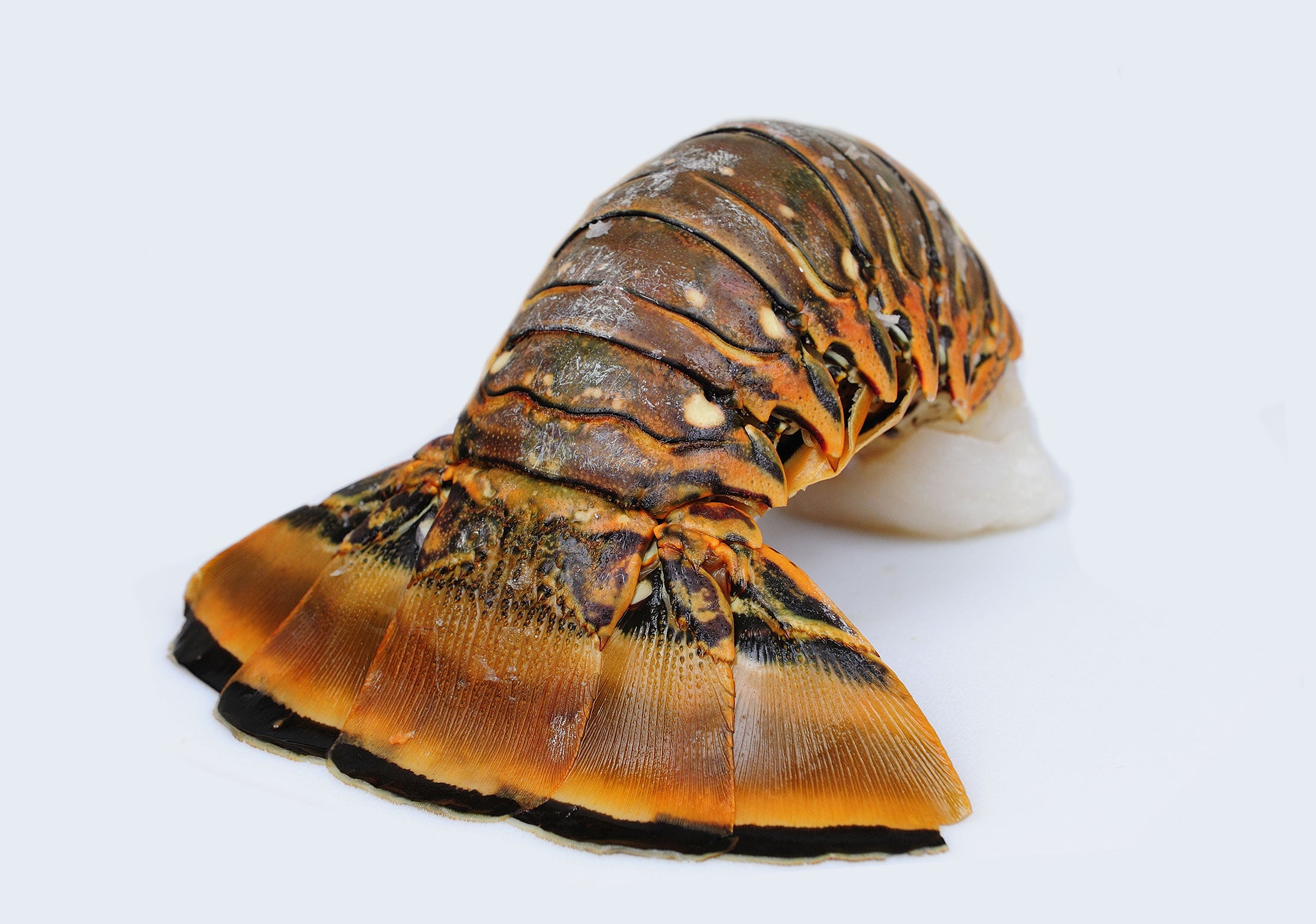 Queues de homard canadien – Aliments LAD