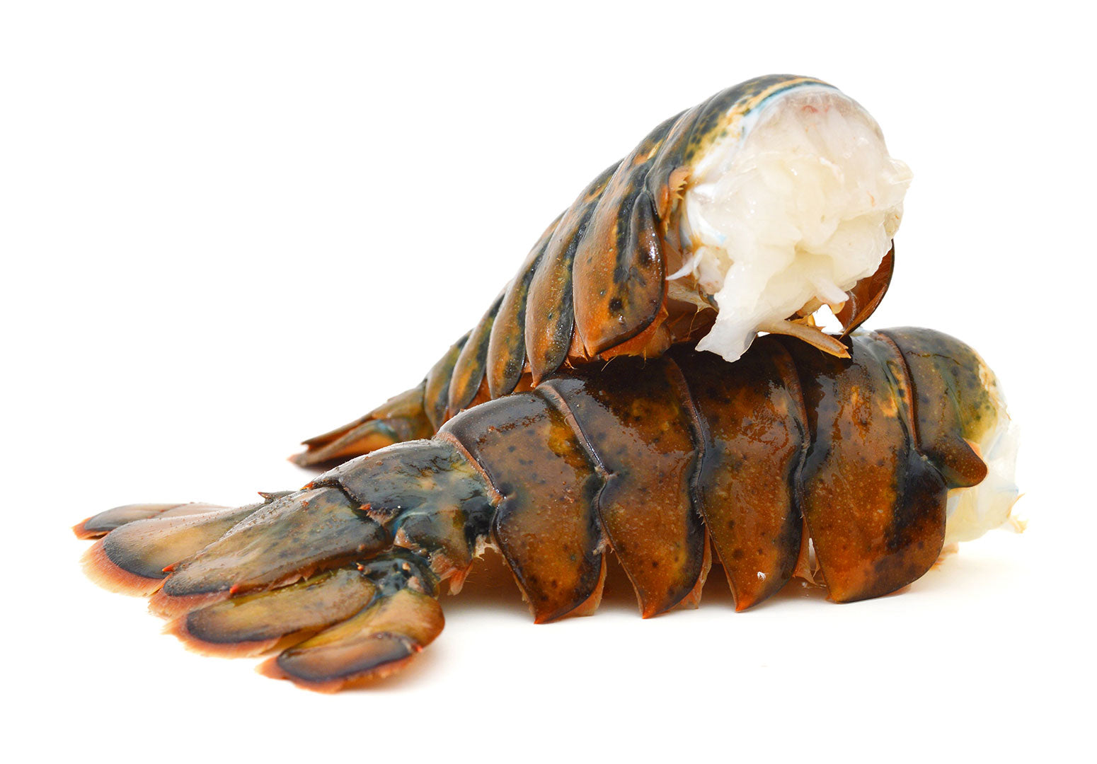 Queues de homard canadien – Aliments LAD